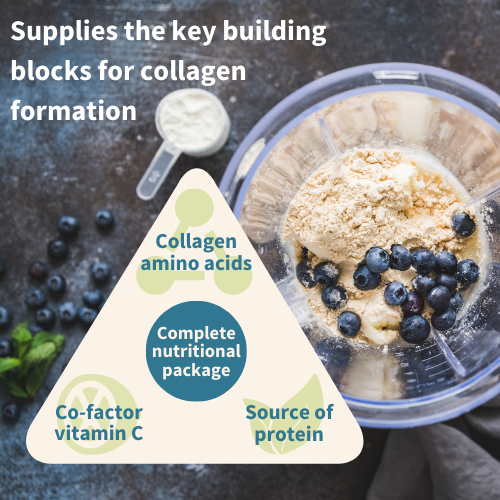Vegan Pro-Collagen Protein Powder, Enhanced with Glycine, Proline & Hy ...
