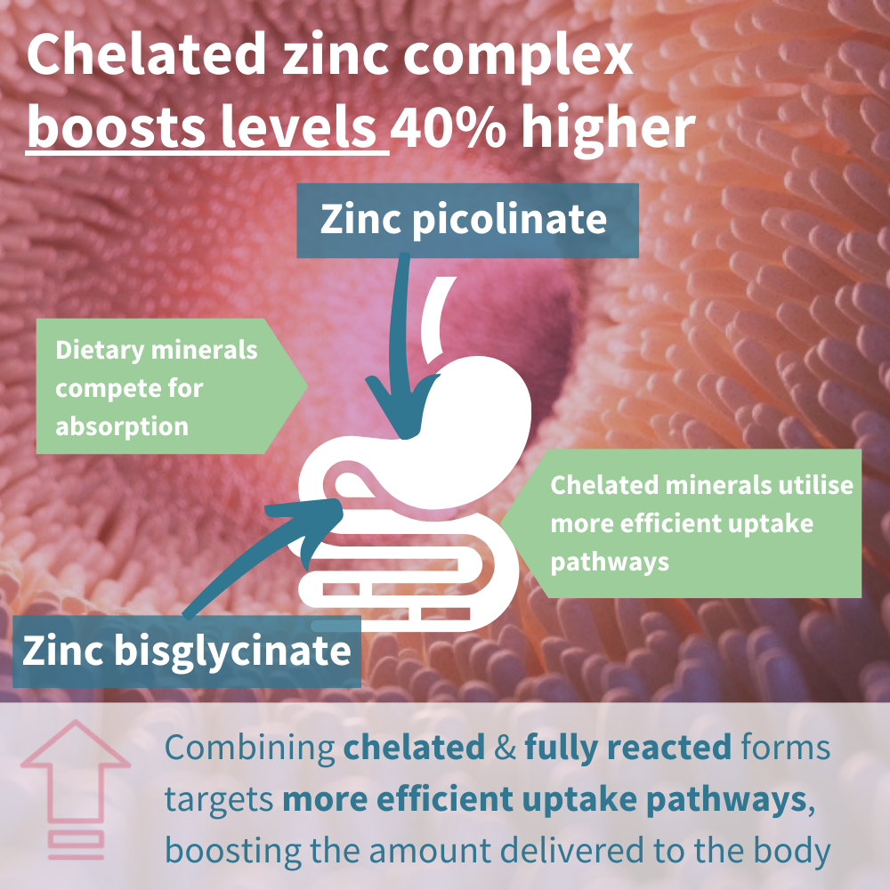 High Absorption Zinc Complex 25mg with Copper, Chelated Zinc Picolinat ...